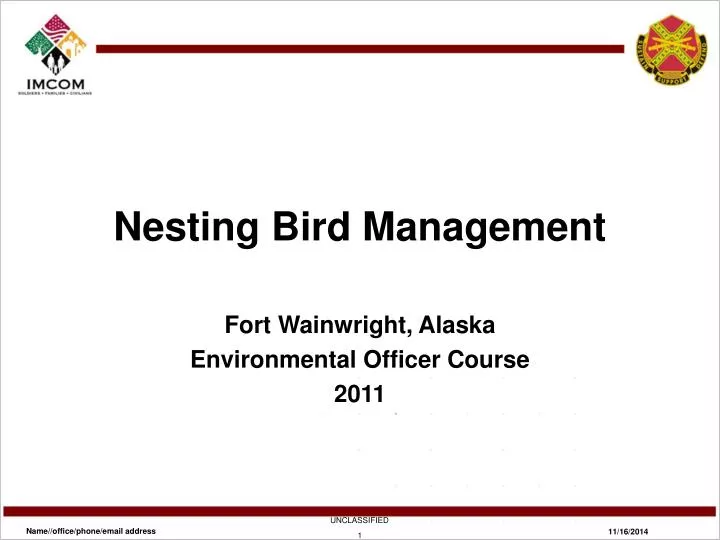 PPT - Nesting Bird Management PowerPoint Presentation, free download ...