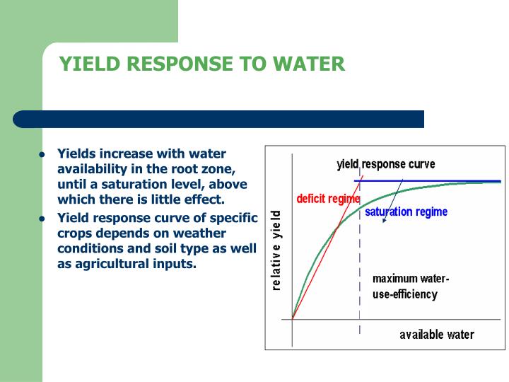 PPT - IMPROVING WATER USE EFFICIENCY OF FIELD CROPS THROUGH REGULATED ...
