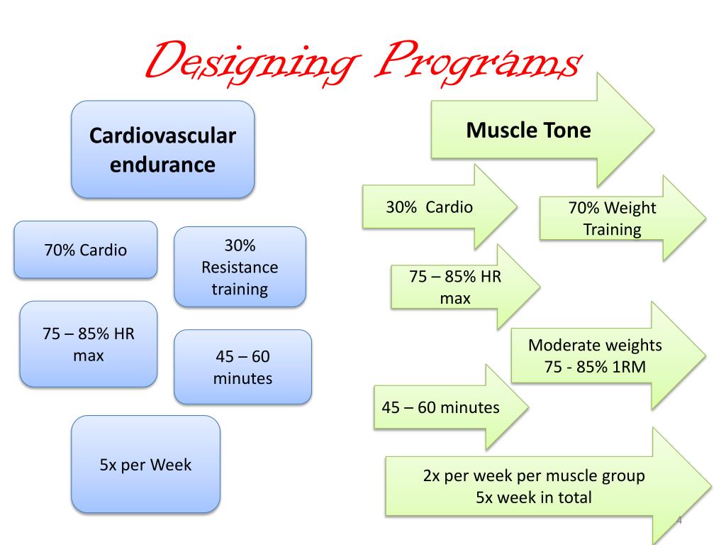 PPT - Basic Gym Training PowerPoint Presentation, free download - ID ...