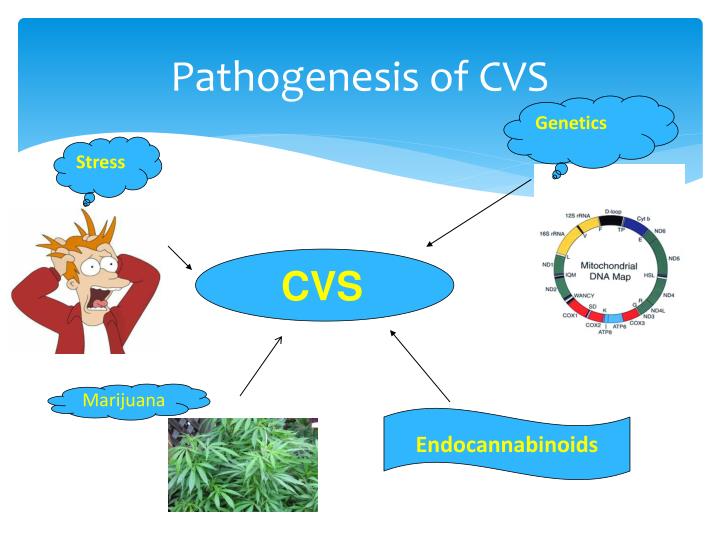 PPT - Endocannabinoid signaling and stress in CVS PowerPoint ...