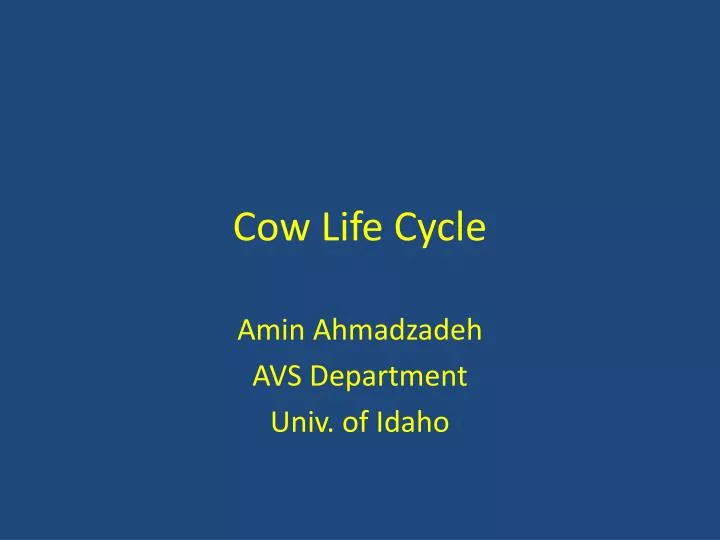 PPT - Cow Life Cycle PowerPoint Presentation, free download - ID:6676643