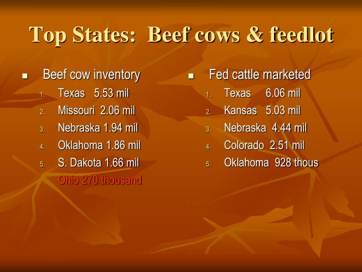 PPT - Beef Cattle and Industry PowerPoint Presentation - ID:6677033