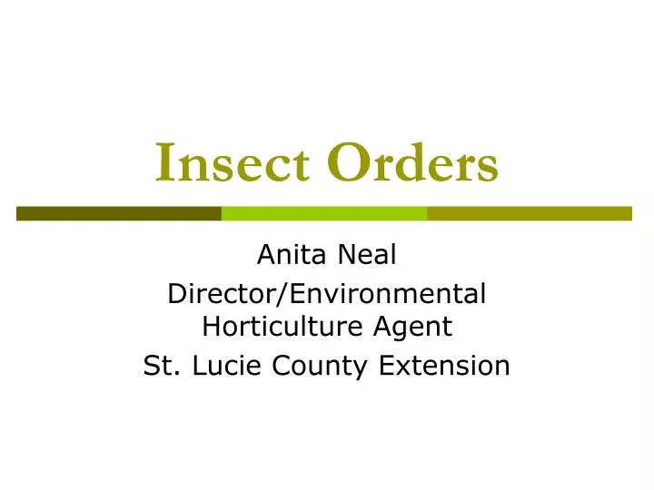 PPT - Insect Orders PowerPoint Presentation, free download - ID:6677250 PPT - Insect Orders PowerPoint Presentation, free download - ID:6677250
