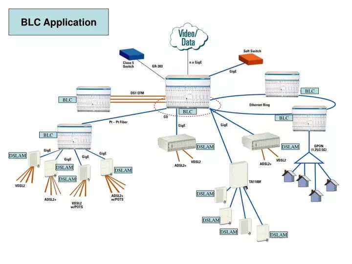 PPT - BLC PowerPoint Presentation, free download - ID:6677475
