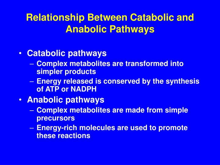 PPT - Lesson 2 : Role of Metabolism in Nutrition PowerPoint ...