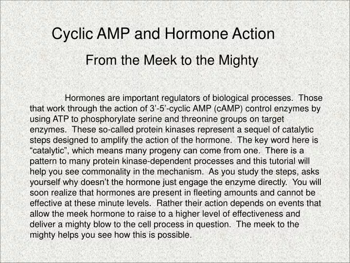 PPT - Cyclic AMP and Hormone Action PowerPoint Presentation, free ...