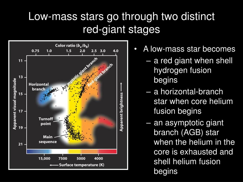 PPT - Exploring Stellar Evolution and Supernova Deaths PowerPoint ...