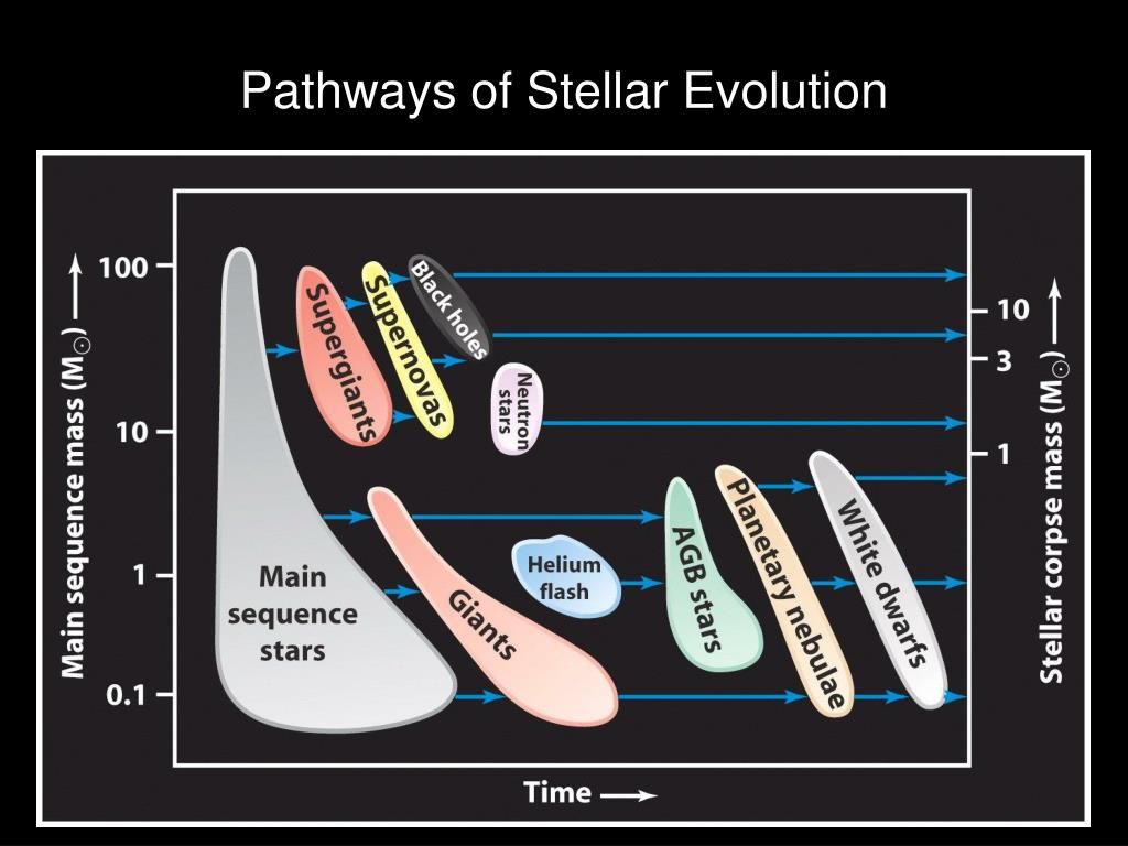 PPT - Exploring Stellar Evolution and Supernova Deaths PowerPoint ...