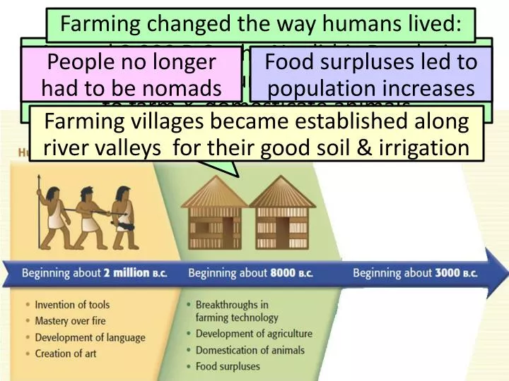 PPT - Neolithic Revolution PowerPoint Presentation, free download - ID ...