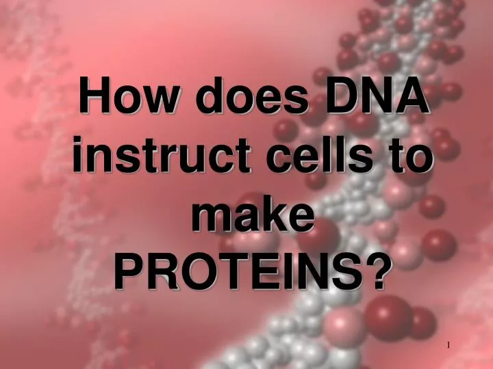 PPT - How does DNA instruct cells to make PROTEINS? PowerPoint ...