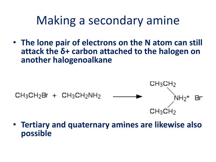 PPT - Amines PowerPoint Presentation - ID:6680375