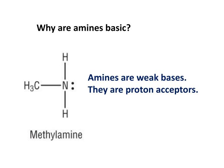 PPT - Amines PowerPoint Presentation - ID:6680375