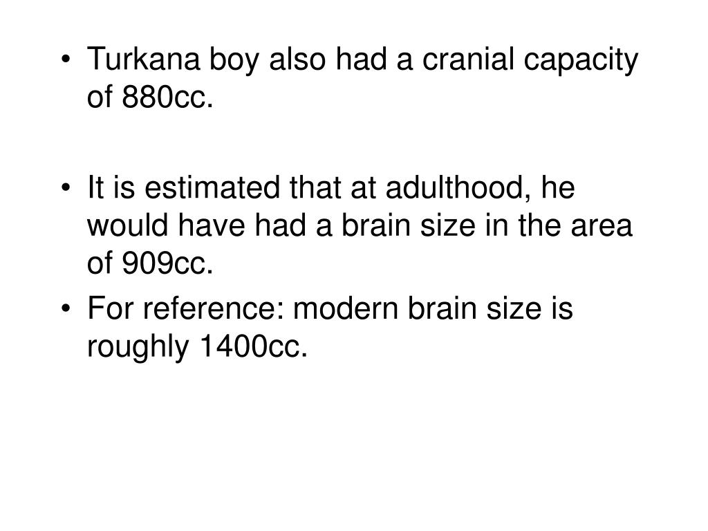 PPT - Turkana boy, and how his discovery is important to learning about ...