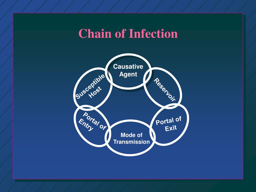 Chain Of Infection Overview - vrogue.co Chain Of Infection Overview - vrogue.co