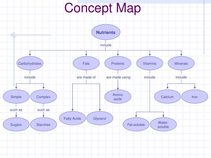 40 Box Nutrient Cycles Concept Map - Map
