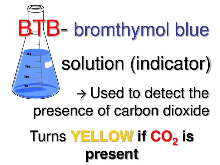 PPT - BTB - bromthymol blue solution (indicator) PowerPoint ...