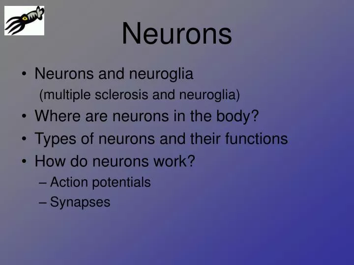 PPT - Neurons PowerPoint Presentation, free download - ID:6681600