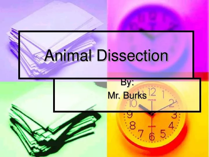 PPT - Animal Dissection PowerPoint Presentation, free download - ID:6681687