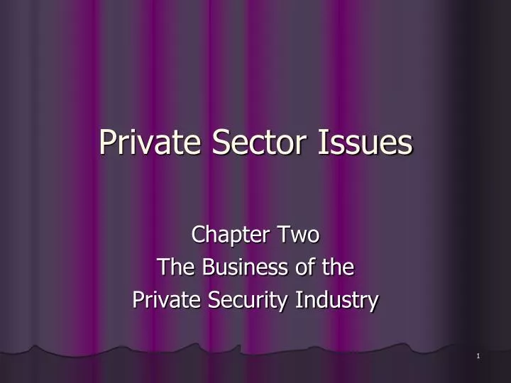 PPT - Private Sector Issues PowerPoint Presentation, free download - ID ...