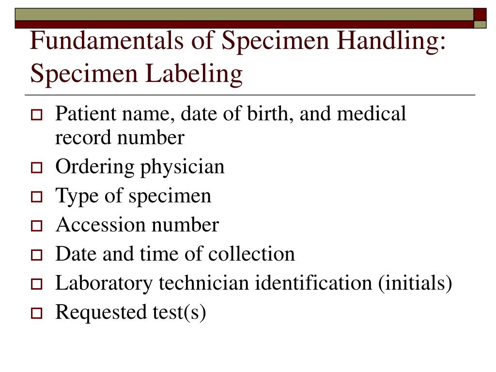 PPT - Isolation and Purification of Nucleic Acids: Sample Processing ... PPT - Isolation and Purification of Nucleic Acids: Sample Processing ...