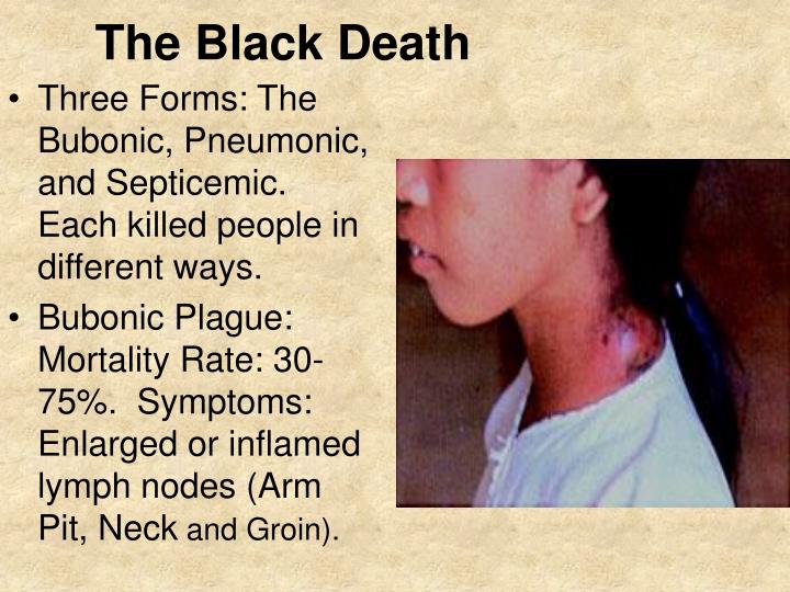 PPT - The Black Death: Bubonic Plague PowerPoint Presentation - ID:6684702