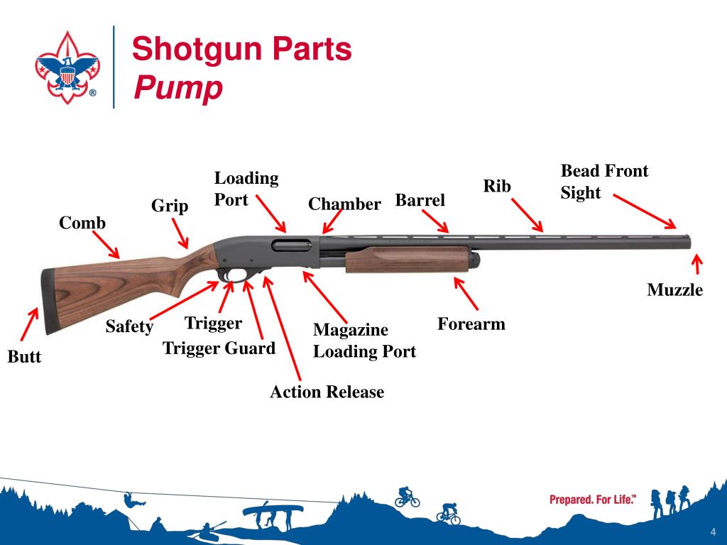 PPT - BSA 30 Minute Shotgun Briefing PowerPoint Presentation, free ...