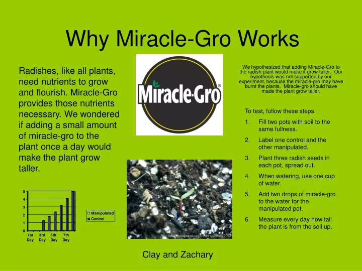 PPT - Why Miracle-Gro Works PowerPoint Presentation, free download - ID ...