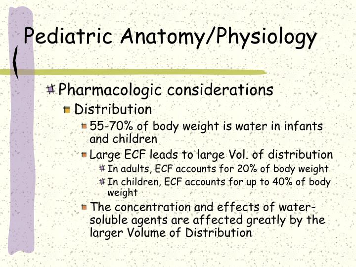 PPT - Pediatric Anatomy and Physiology PowerPoint Presentation - ID:6685979