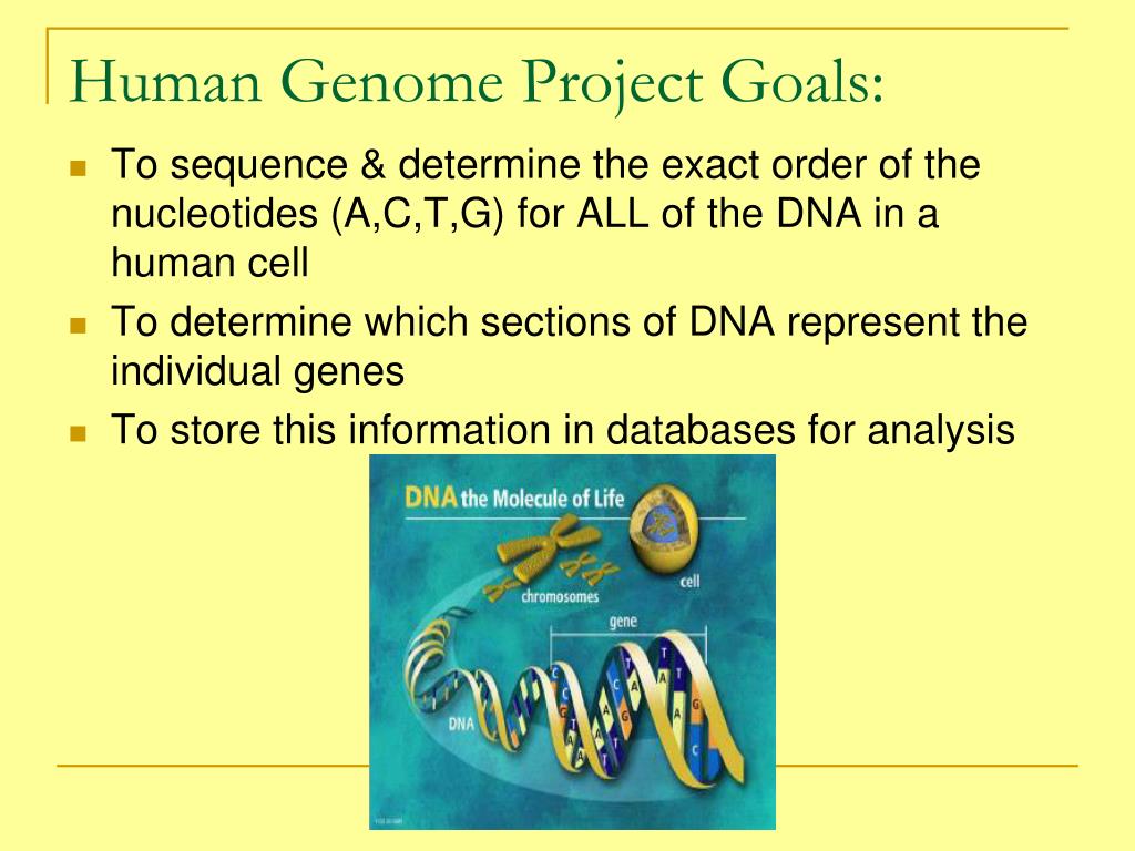 Ppt Human Genome Project Gene Therapy And Cloning Powerpoint