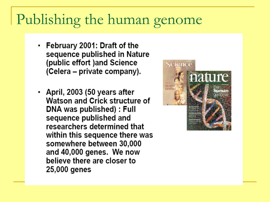 Ppt Human Genome Project Gene Therapy And Cloning Powerpoint