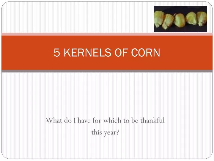 PPT - 5 KERNELS OF CORN PowerPoint Presentation, free download - ID:6686417