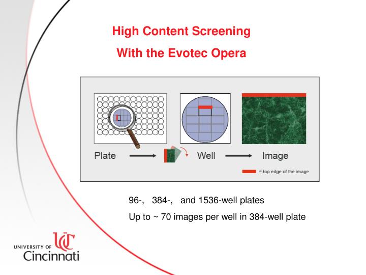 PPT - High Throughput And High Content Screening PowerPoint ...