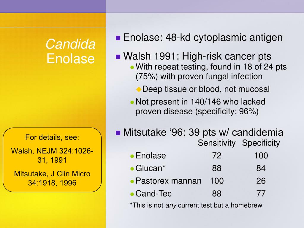 PPT - Candida Past, Present, & Future: A Clinical Perspective ...