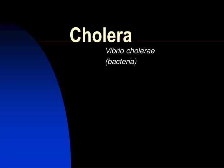 PPT - Cholera PowerPoint Presentation, free download - ID:6686983