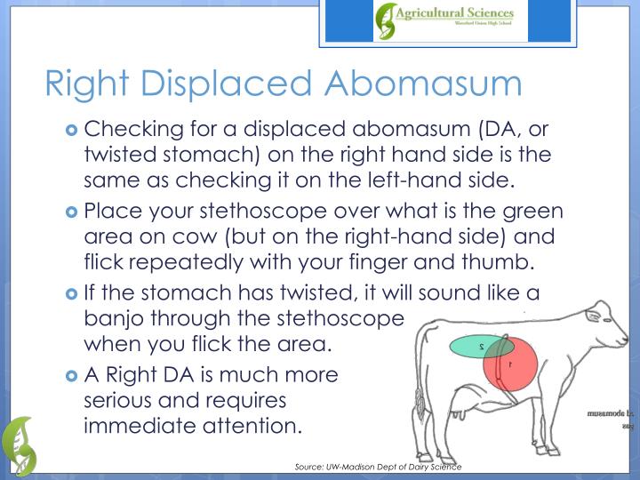 PPT - Physical Exams of Cattle PowerPoint Presentation - ID:6687710
