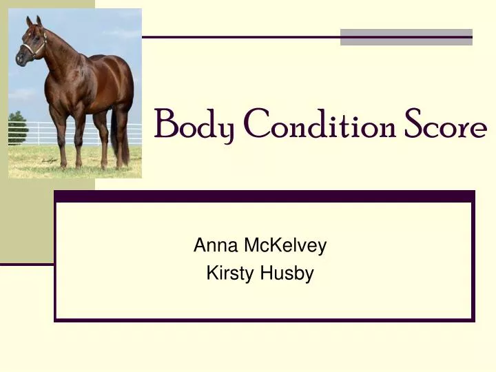 PPT - Body Condition Score PowerPoint Presentation, free download - ID ...