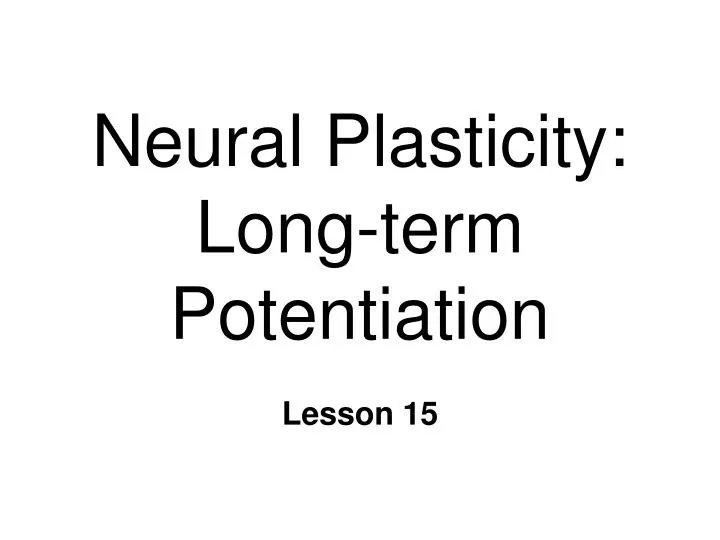 PPT - Neural Plasticity: Long-term Potentiation PowerPoint Presentation ...