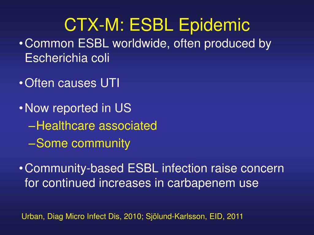 PPT - Infections due to Multi-Drug Resistant (MDR) Gram-Negative ...