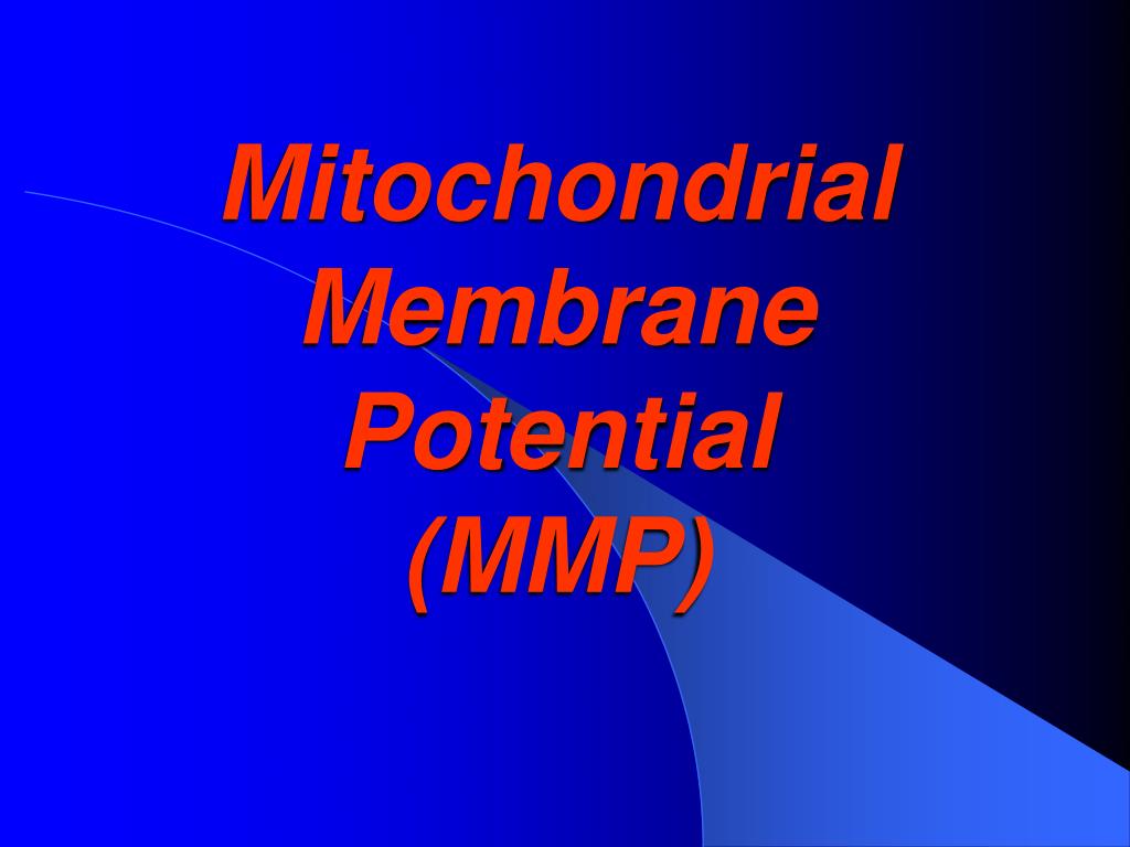 PPT - Mitochondrial Membrane Potential (MMP) PowerPoint Presentation ...