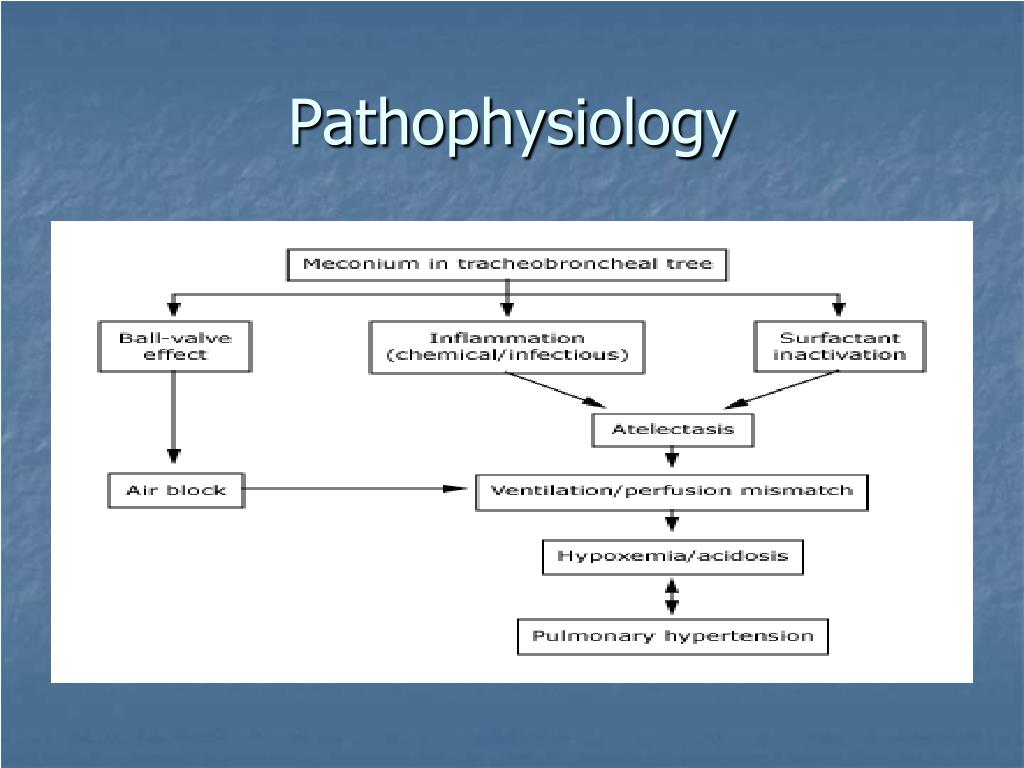 PPT - Meconium-stained amniotic fluid (MSAF) Pediatrics point of view ...