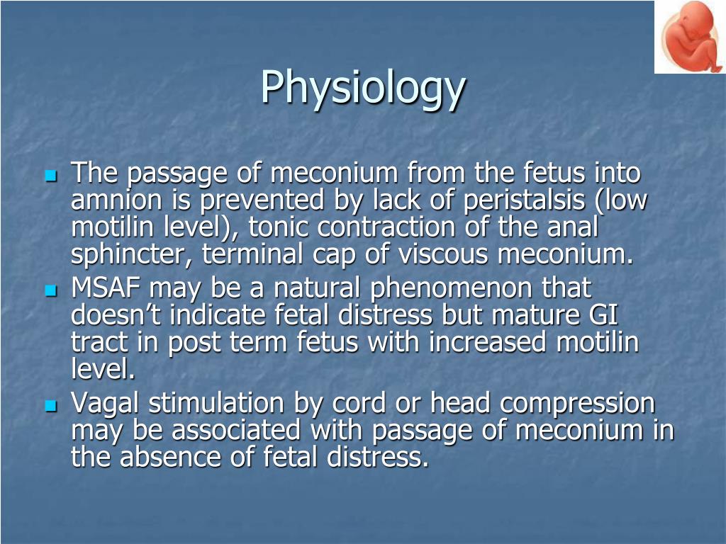 PPT - Meconium-stained amniotic fluid (MSAF) Pediatrics point of view ...
