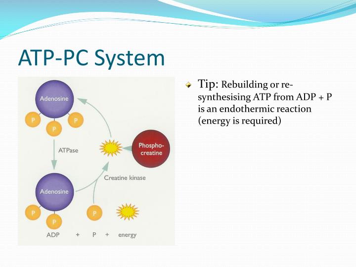 PPT - Energy systems PowerPoint Presentation - ID:6692602