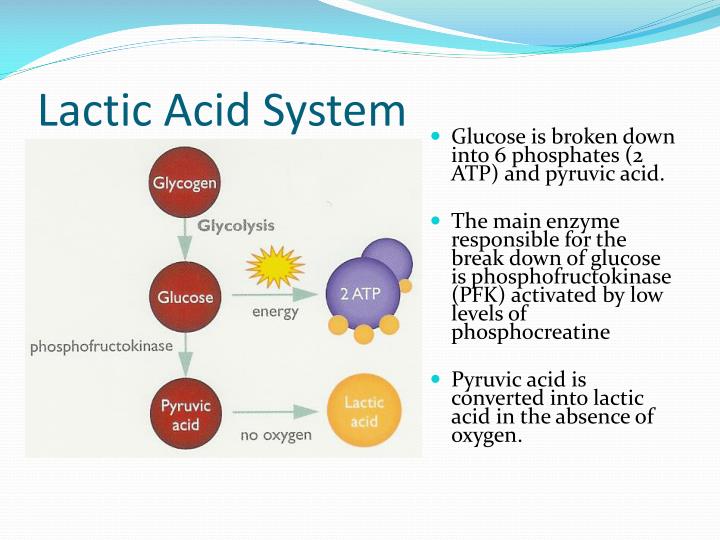 PPT - Energy systems PowerPoint Presentation - ID:6692602
