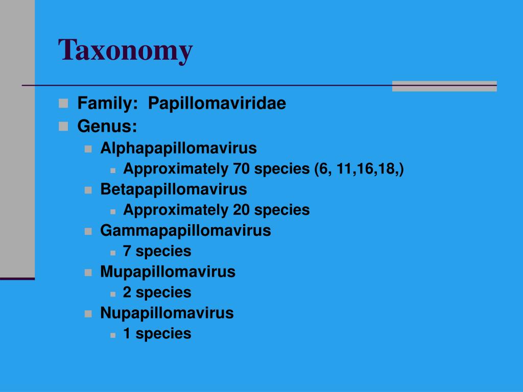 PPT - Human Papillomavirus (HPV) PowerPoint Presentation, free download ...