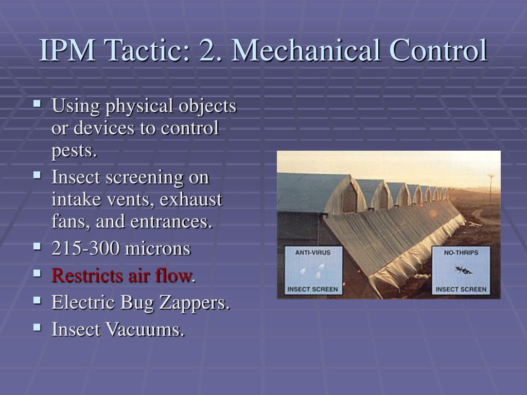 PPT - Integrated Pest Management for Insects and Mites in Greenhouse ...
