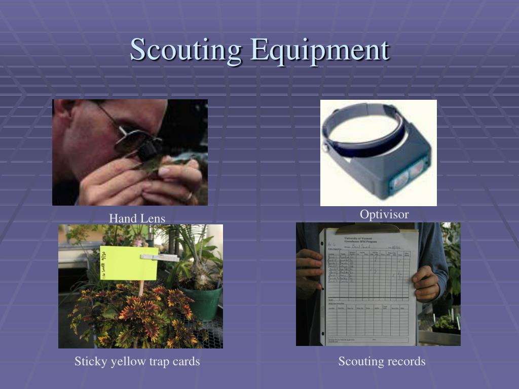 PPT - Integrated Pest Management for Insects and Mites in Greenhouse ...