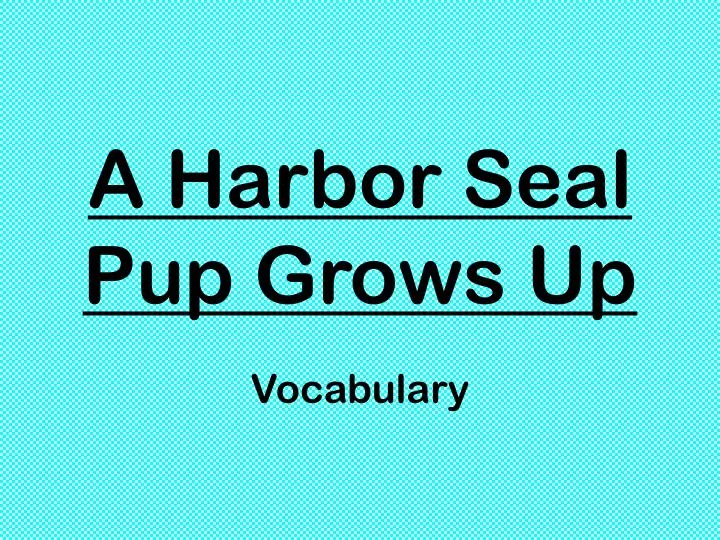 PPT - A Harbor Seal Pup Grows Up PowerPoint Presentation, free download ...