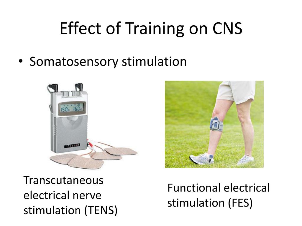 PPT - PTP 512 Neuroscience in Physical Therapy Neuroplasticity ...