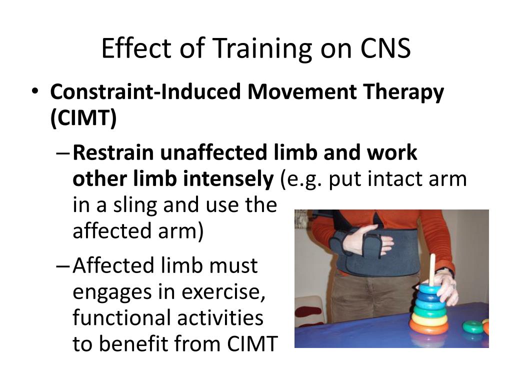 PPT - PTP 512 Neuroscience in Physical Therapy Neuroplasticity ...