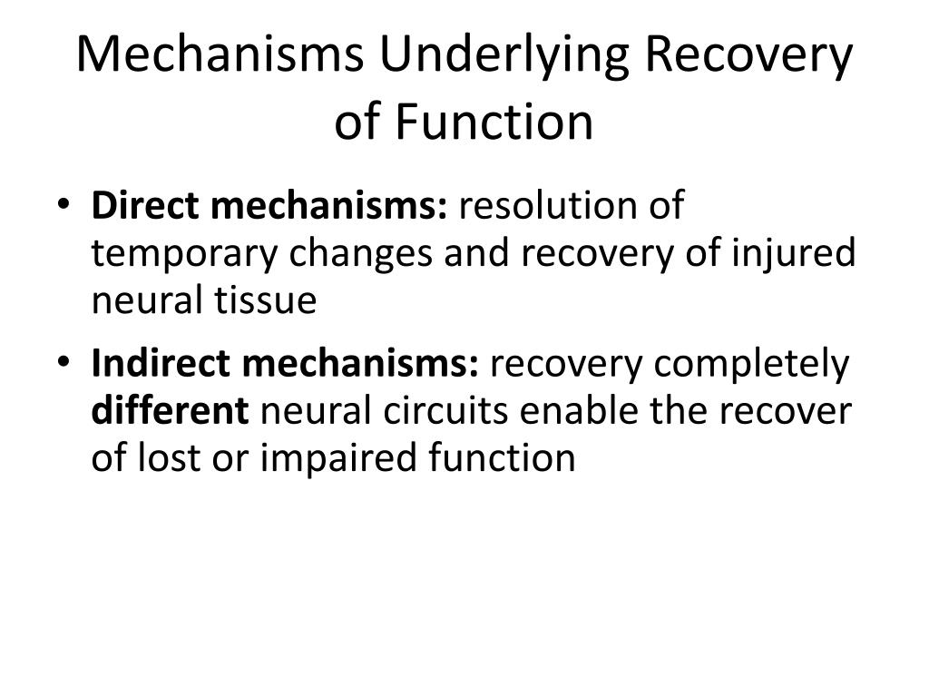 PPT - PTP 512 Neuroscience in Physical Therapy Neuroplasticity ...